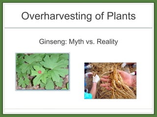 Robert Eidus - 2-27-12 | PPTX