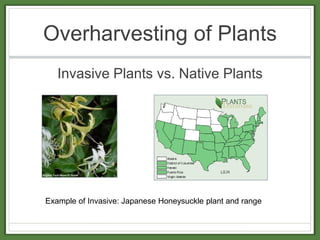 Robert Eidus - 2-27-12 | PPTX