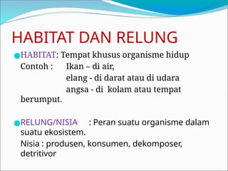 ekosistem-dan-interaksi.ppt.pptx ekosistem berdasarkan fungsinya | PPT