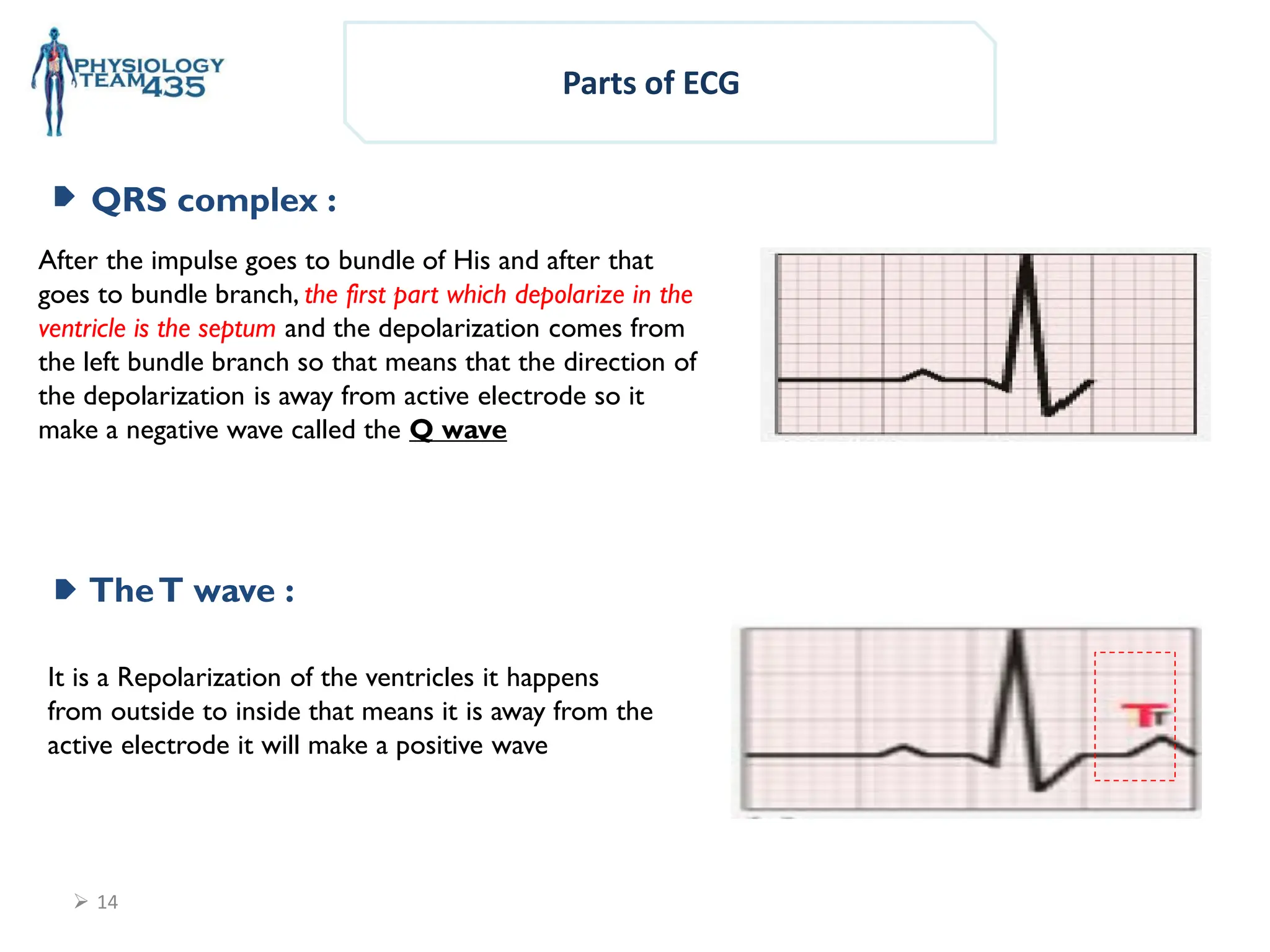5-Electrocardiogram placement and interpretation | PDF