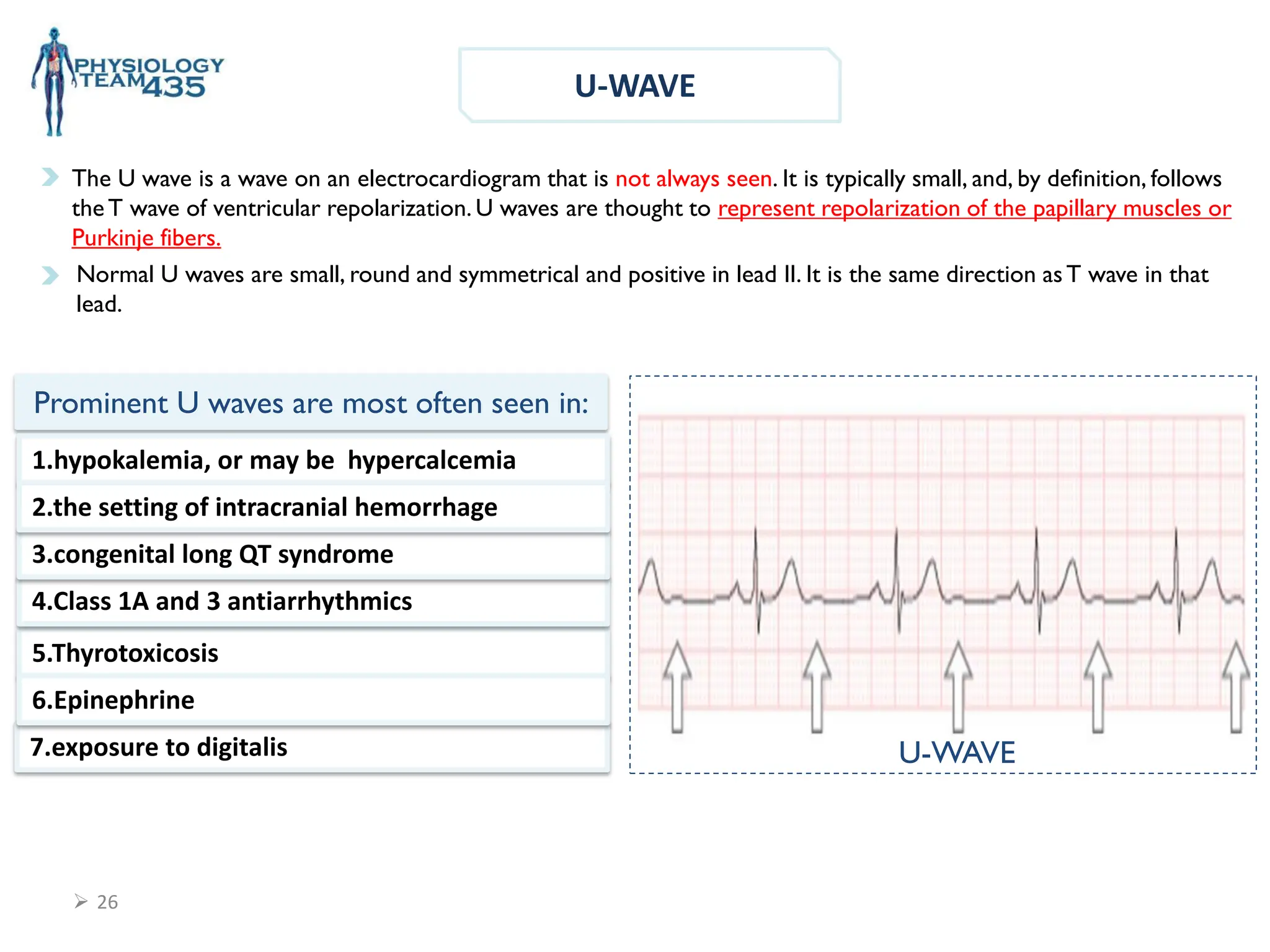 5-Electrocardiogram placement and interpretation | PDF