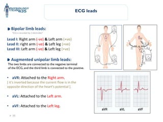 5-Electrocardiogram placement and interpretation | PDF