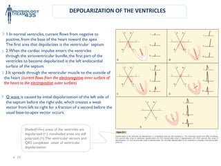 5-Electrocardiogram placement and interpretation | PDF