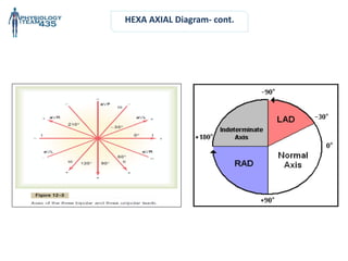5-Electrocardiogram placement and interpretation | PDF