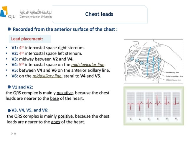 5-Electrocardiogram AUTHOR SSSS (3).pdf