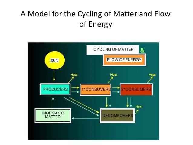 5 energy flow in nature fall 2015