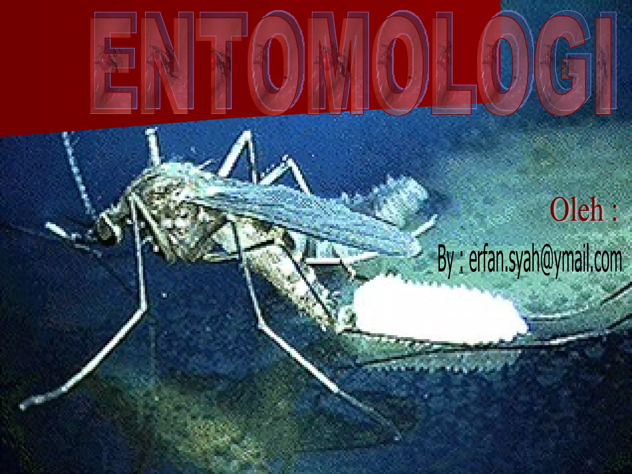 5. entomologi | PPT
