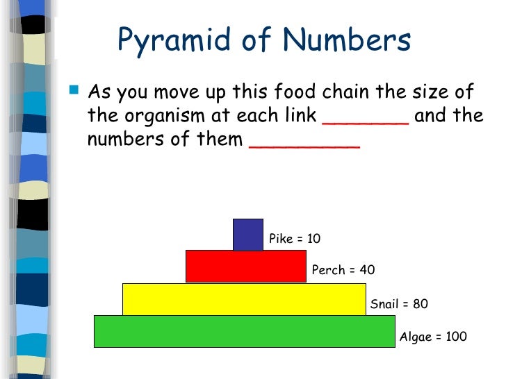 5. Environmental Biology