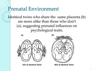5 environmental influences on behavior | PPT