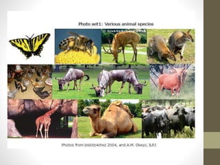 5 environmental status-biodiversity | PPTX