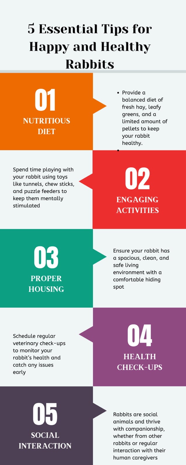 5 Essential Tips for Happy and Healthy Rabbits: Food, Activities, Care ...