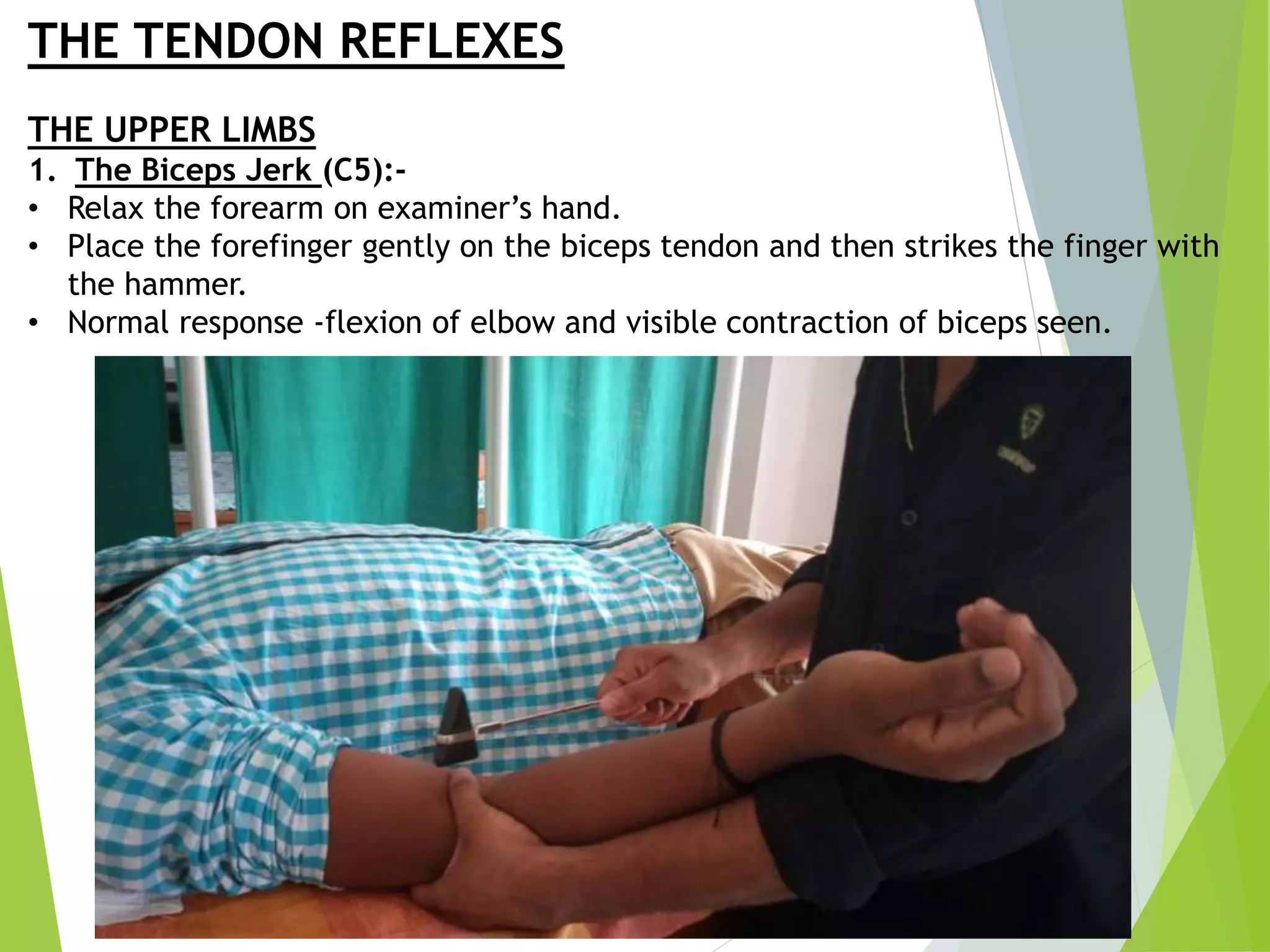 Part 5 examination of reflex | PPTX