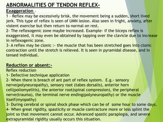 Part 5 examination of reflex | PPTX