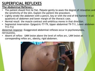 Part 5 examination of reflex | PPTX
