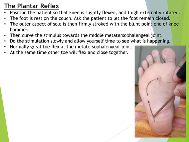 Part 5 examination of reflex | PPTX | Death, Injury, or Military ...
