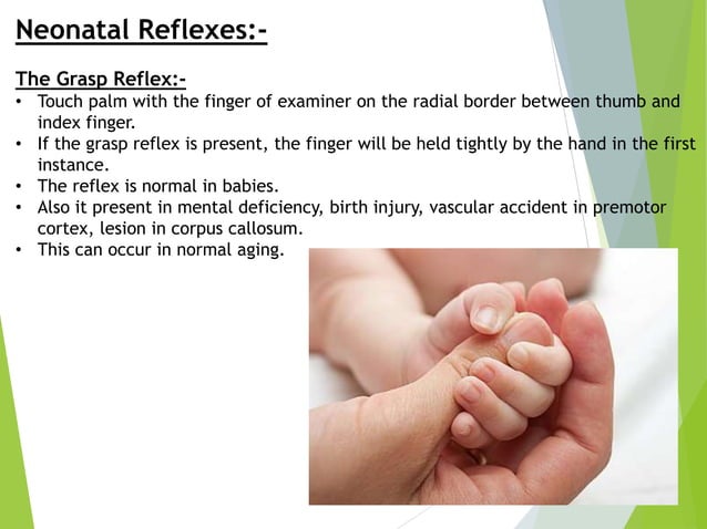 Part 5 examination of reflex | PPTX | Death, Injury, or Military ...