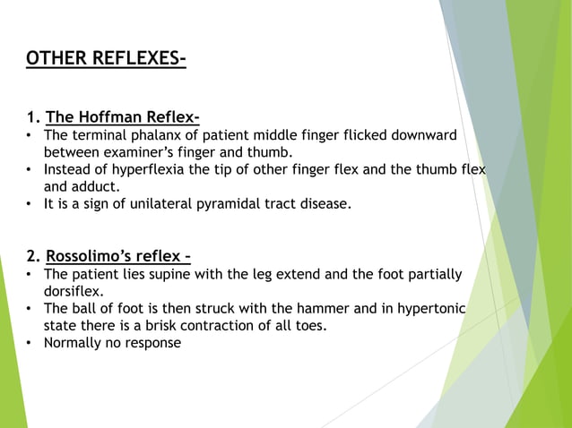 Part 5 examination of reflex
