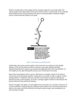 5 Factors Affecting Vertical Jump | PDF