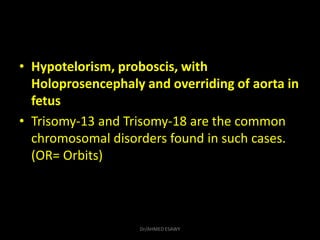 5-Fetal face ultrasound Dr Ahmed Esawy | PDF