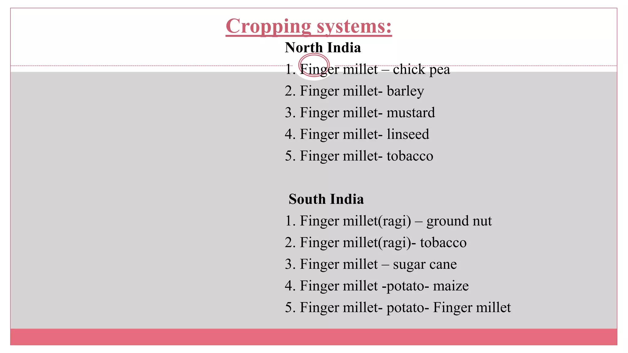 Finger millet .ppt