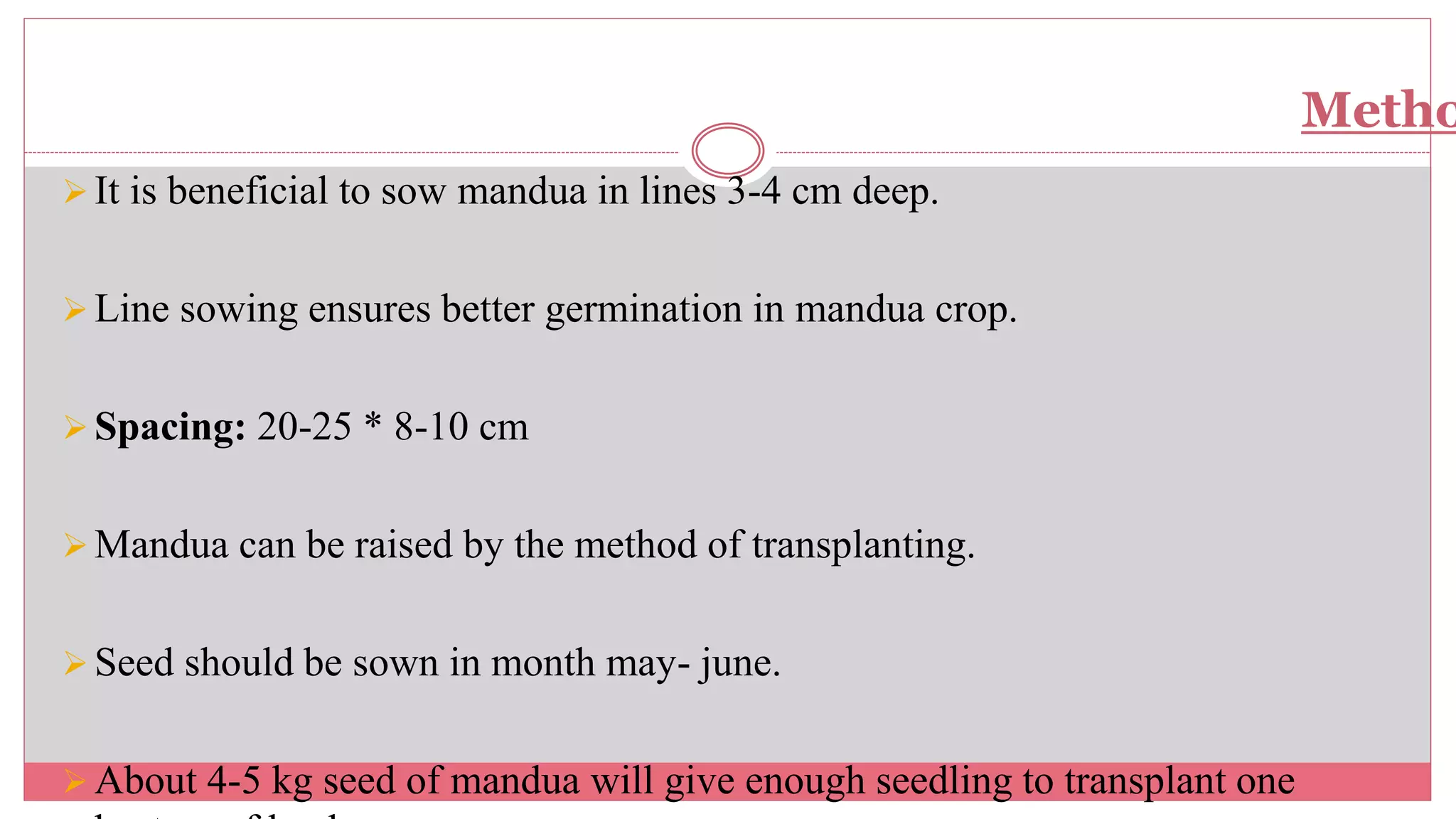 Finger millet .ppt