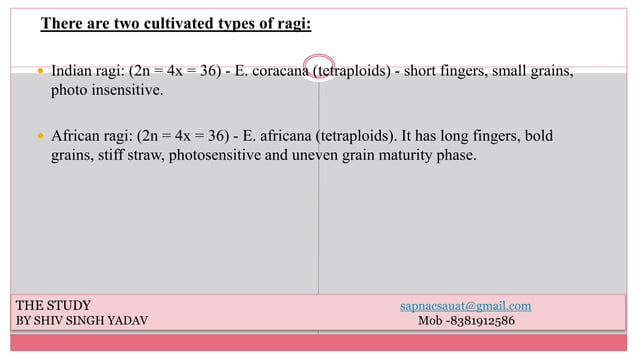 Finger millet .ppt | Agriculture | Industries