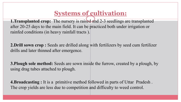 Finger millet .ppt | Agriculture | Industries