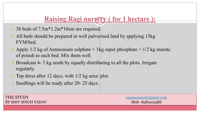 Finger millet .ppt | Agriculture | Industries