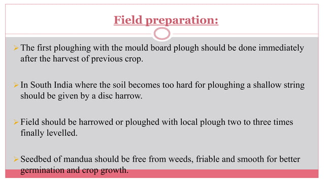 Finger millet .ppt | Agriculture | Industries