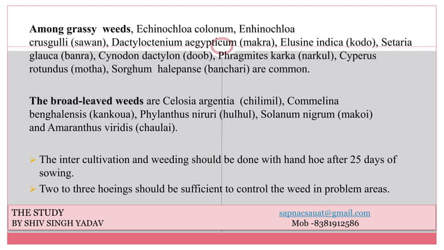 Finger millet .ppt | Agriculture | Industries