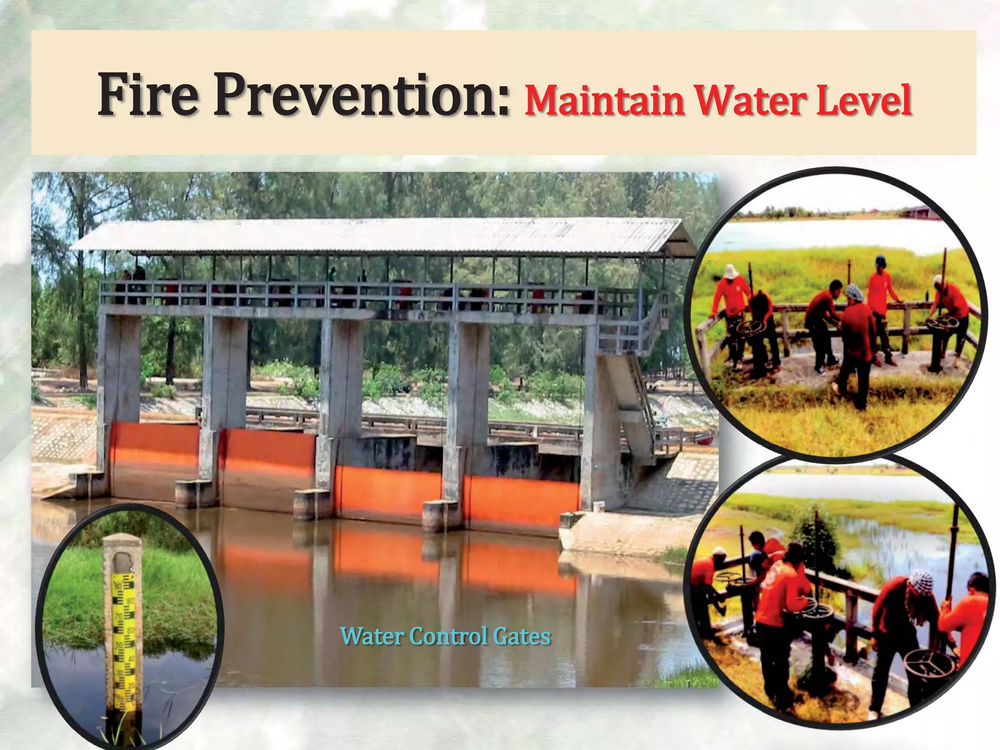 Fire Prevention and Control Mechanism in Peatland of Thailand | PDF
