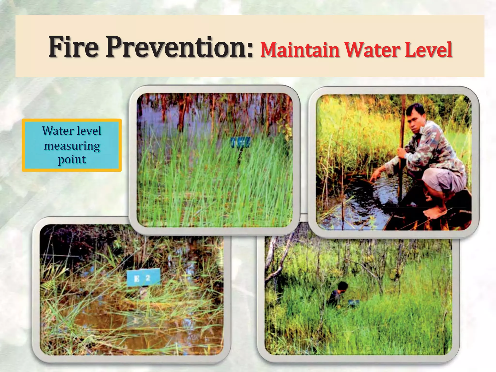 Fire Prevention and Control Mechanism in Peatland of Thailand | PDF