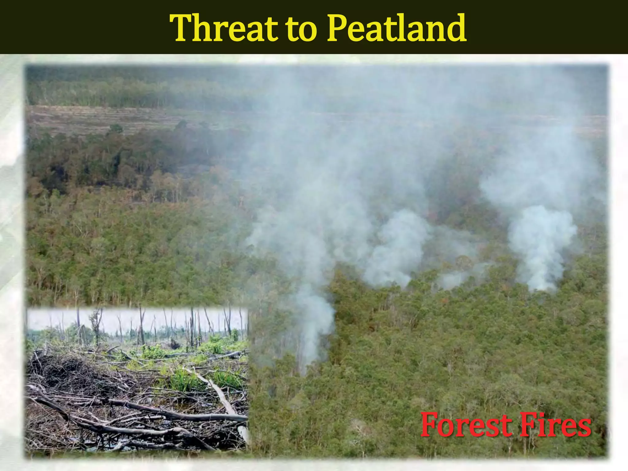 Fire Prevention and Control Mechanism in Peatland of Thailand | PDF