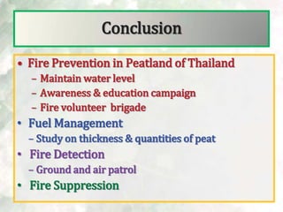 Fire Prevention and Control Mechanism in Peatland of Thailand | PDF
