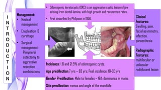 Topical 5-Fluorouracil in the treatment of OKC | PPTX
