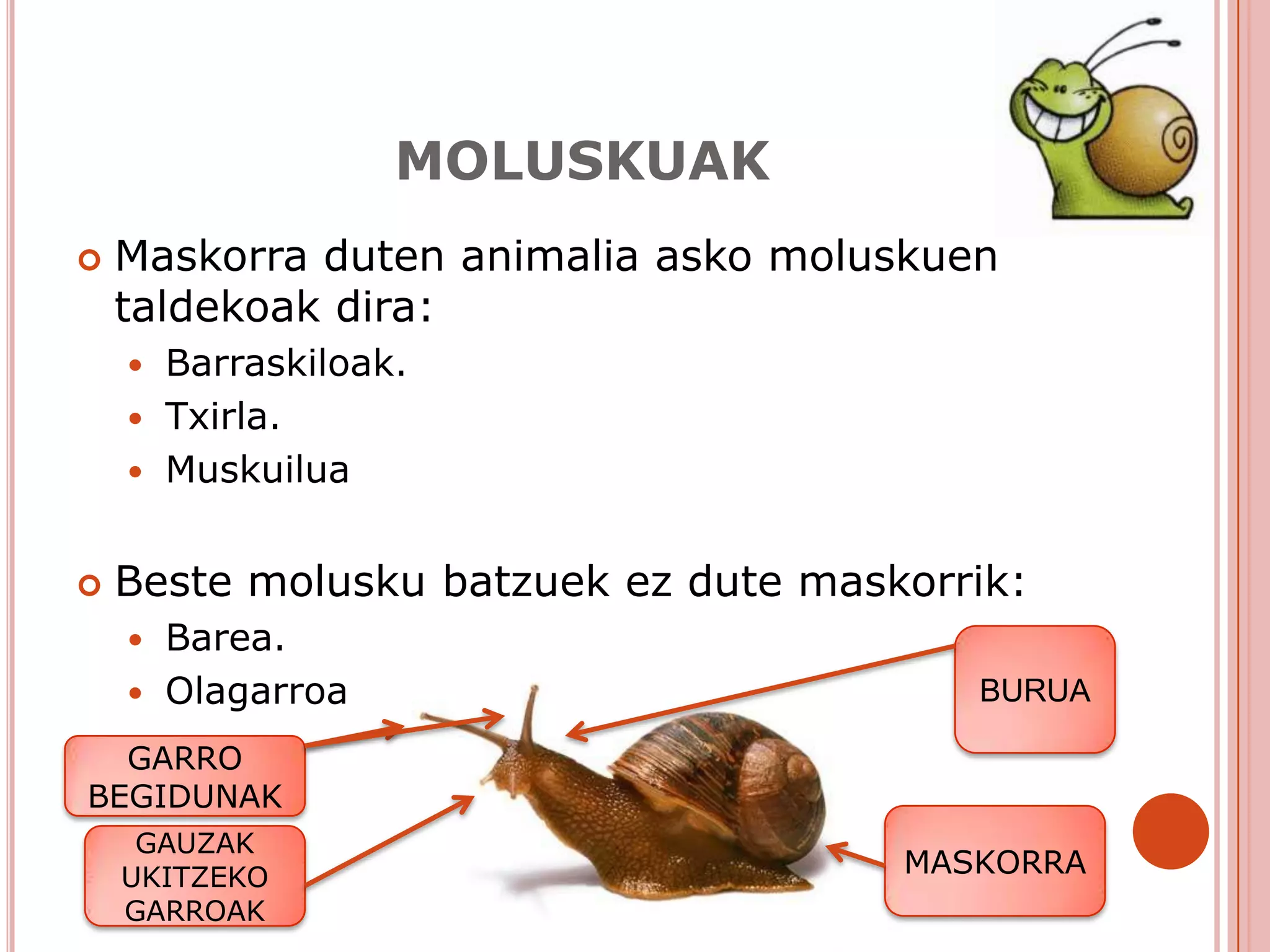 5.gaia animalia ornogabeak | PPT