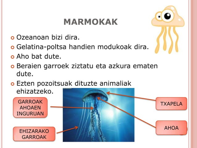 5.gaia animalia ornogabeak | PPT