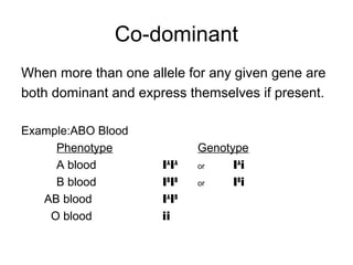 5. genetics | PPT