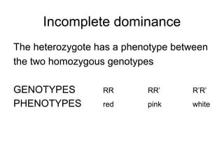 5. genetics | PPT