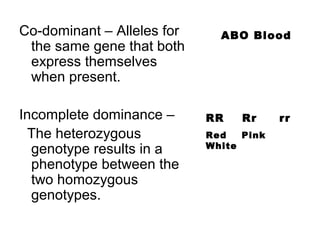 5. genetics | PPT