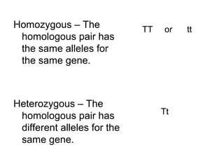 5. genetics | PPT