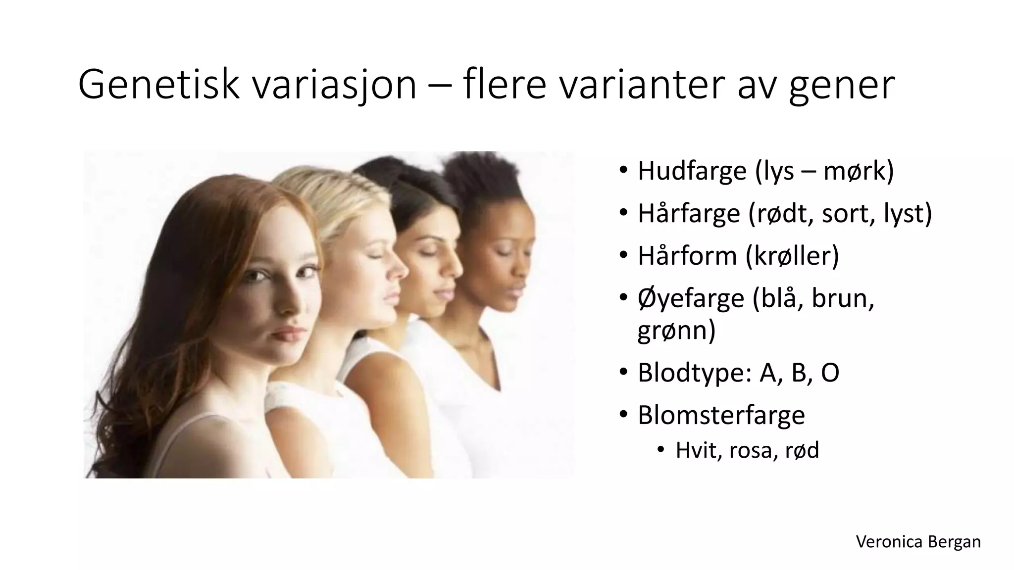 5 genetisk variasjon, Kap 1 i Tellus 10, Aschehoug. | PPTX