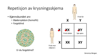 5 genetisk variasjon, Kap 1 i Tellus 10, Aschehoug. | PPTX