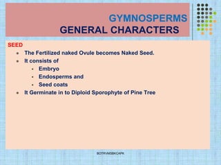 5 gymnosperm | PPT