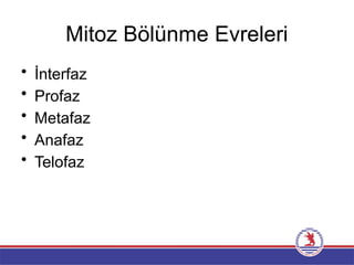 5- hafta mayoz bolunme 10. sınıflar.pptx