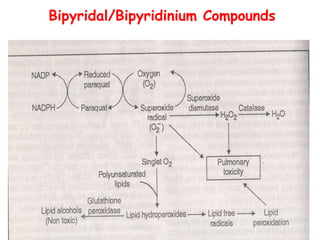 5-Herbicide.pptx
