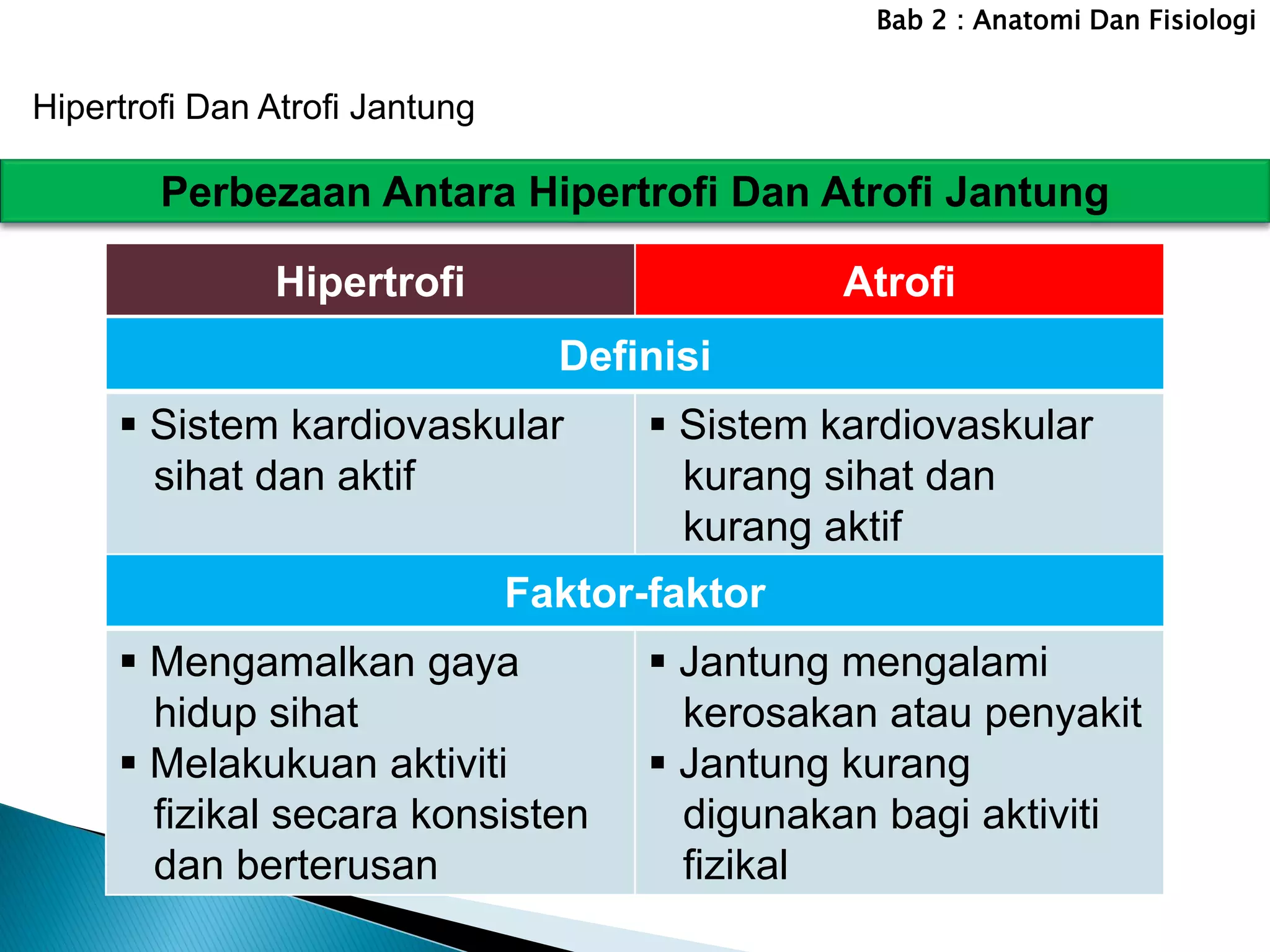 5 hipertrofi dan atrofi jantung | PDF