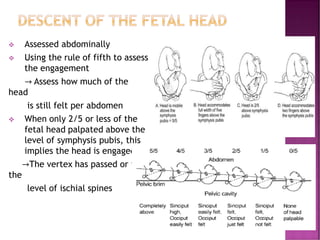 5- HISTORY TAKING AND PHYSICAL Exam IN OBGYN _PROF.GHADEER_SEPT 2018.pdf