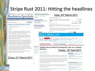 BGRI Global Rust Monitoring: Challenges and Opportunities for Stripe Rust | PPTX
