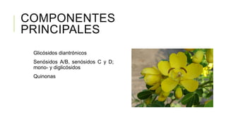 hoja de sen. quinonas | PPTX